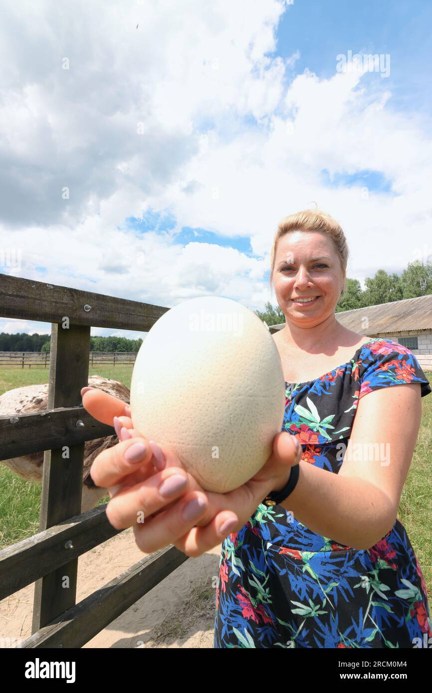 A woman holds an ostrich egg in her hands. Ostriches in a petting zoo ...