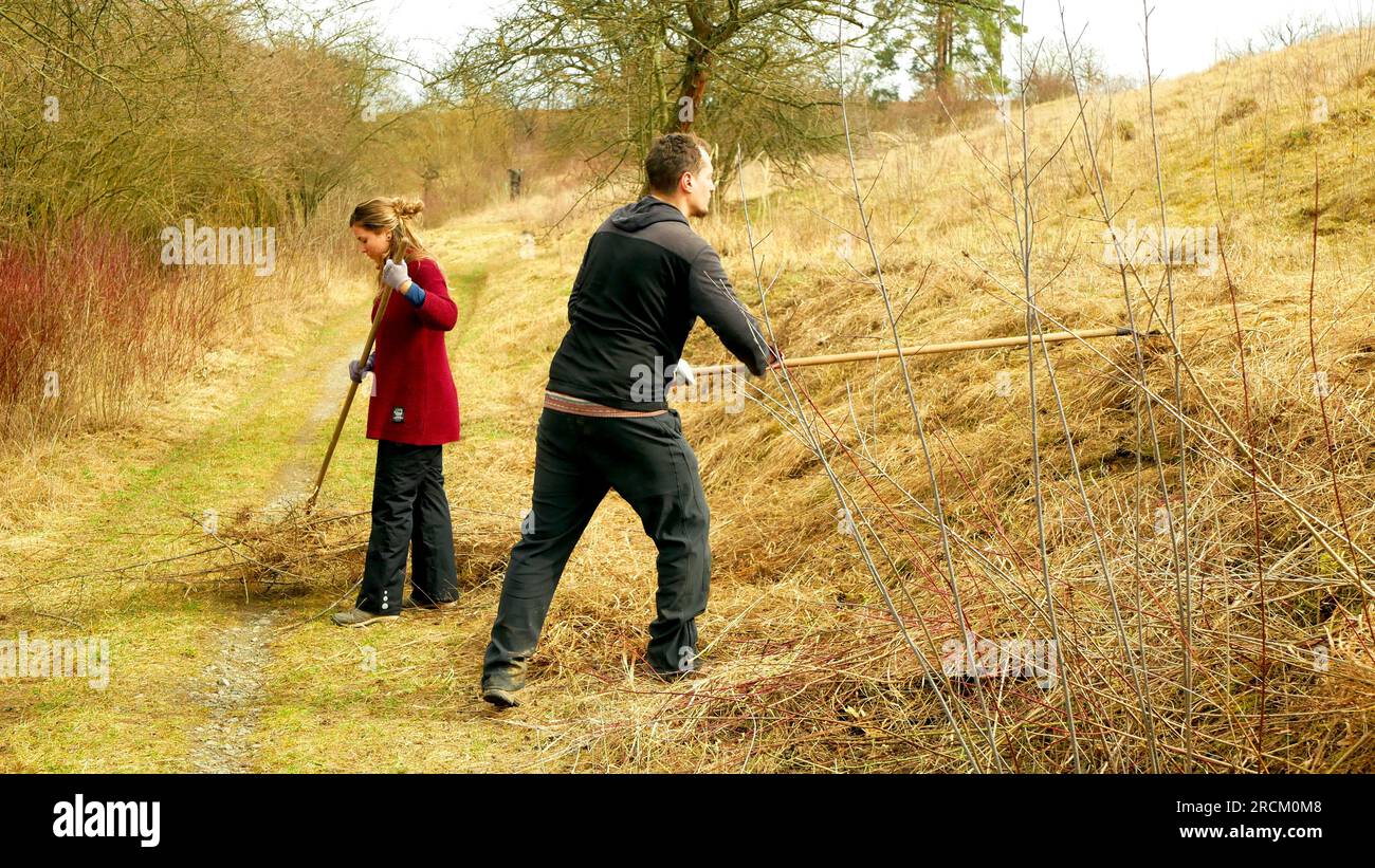 Volunteers care nature rake cut brush cutter cutting bushes activists ...
