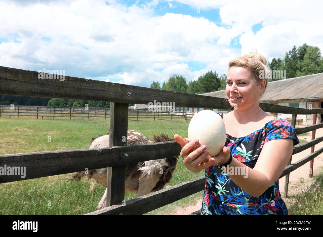 A woman holds an ostrich egg in her hands. Ostriches in a petting zoo ...