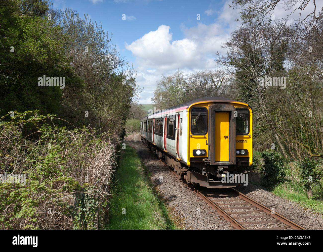 Transport For Wales class 150 diesel multiple unit train on the single ...