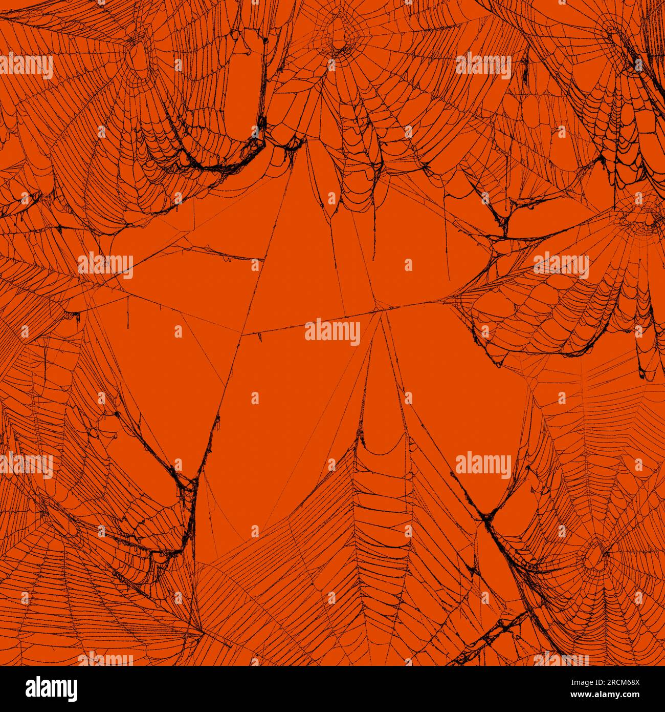 Real spooky spider webs hanging together to make a frame. Halloween ...