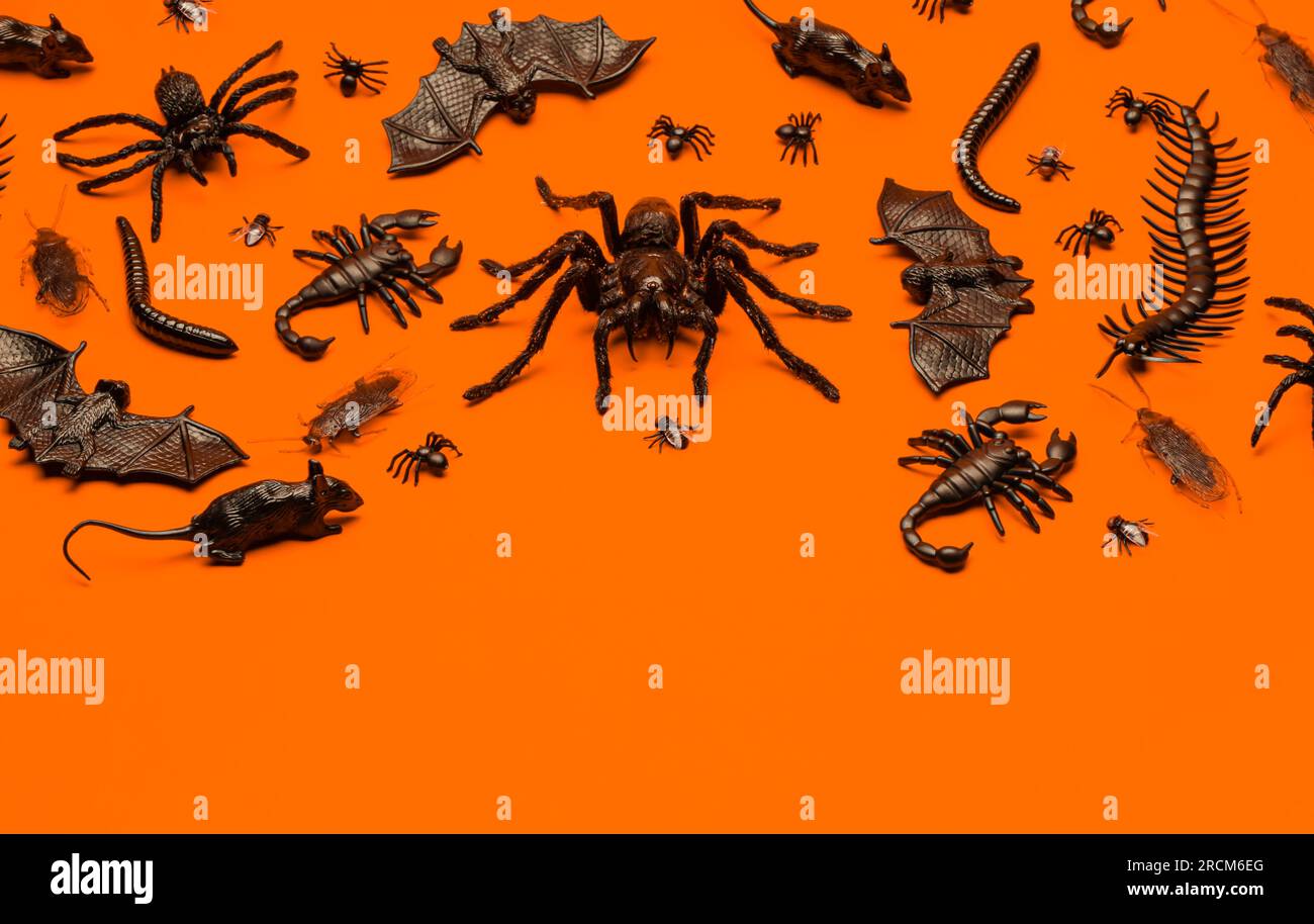 Black Halloween creepy crawly bugs and spiders on orange background ...