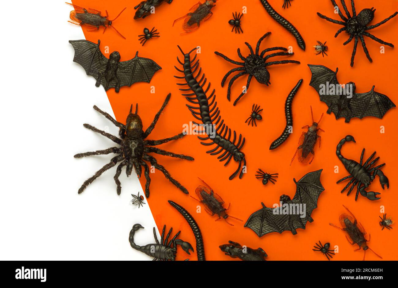 Black Halloween creepy crawly bugs and spiders on orange background ...