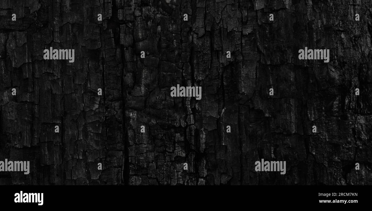 Dark black background of rough burnt wood, soot, and ash. Burn texture ...