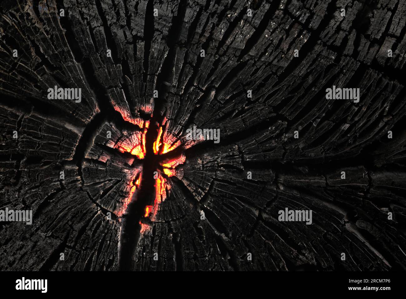 Dark black background of a burnt tree with red hot embers still burning ... Dark black background of a burnt tree with red hot embers still burning ...