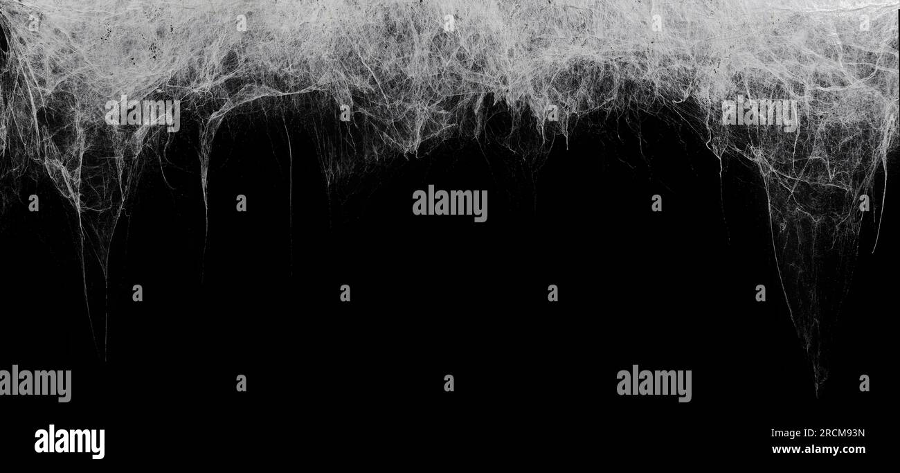 Creepy hanging spider web or cobweb on black, top border. Spooky ...