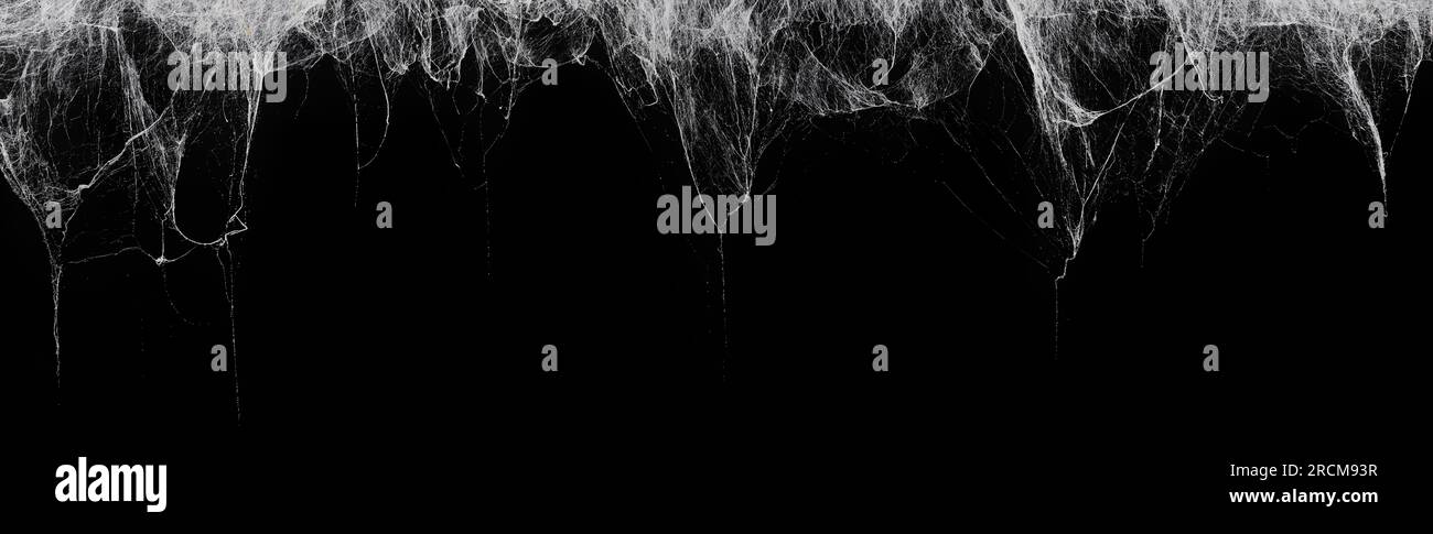 Creepy hanging spider web or cobweb on black, top border. Spooky ...