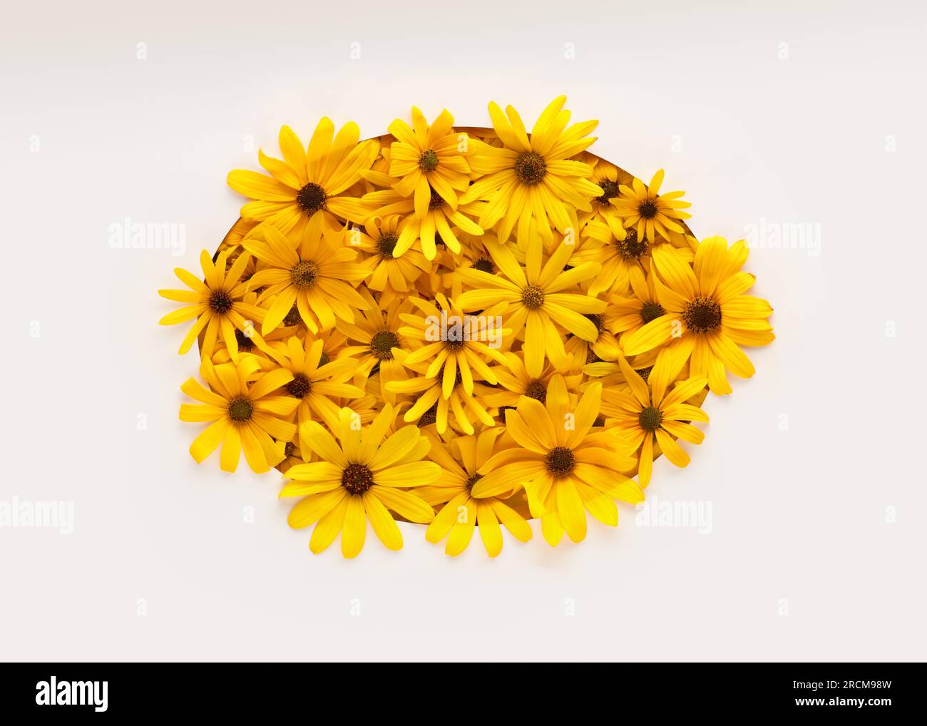 Warm and bright yellow summer flowers pop out of white paper Stock ...