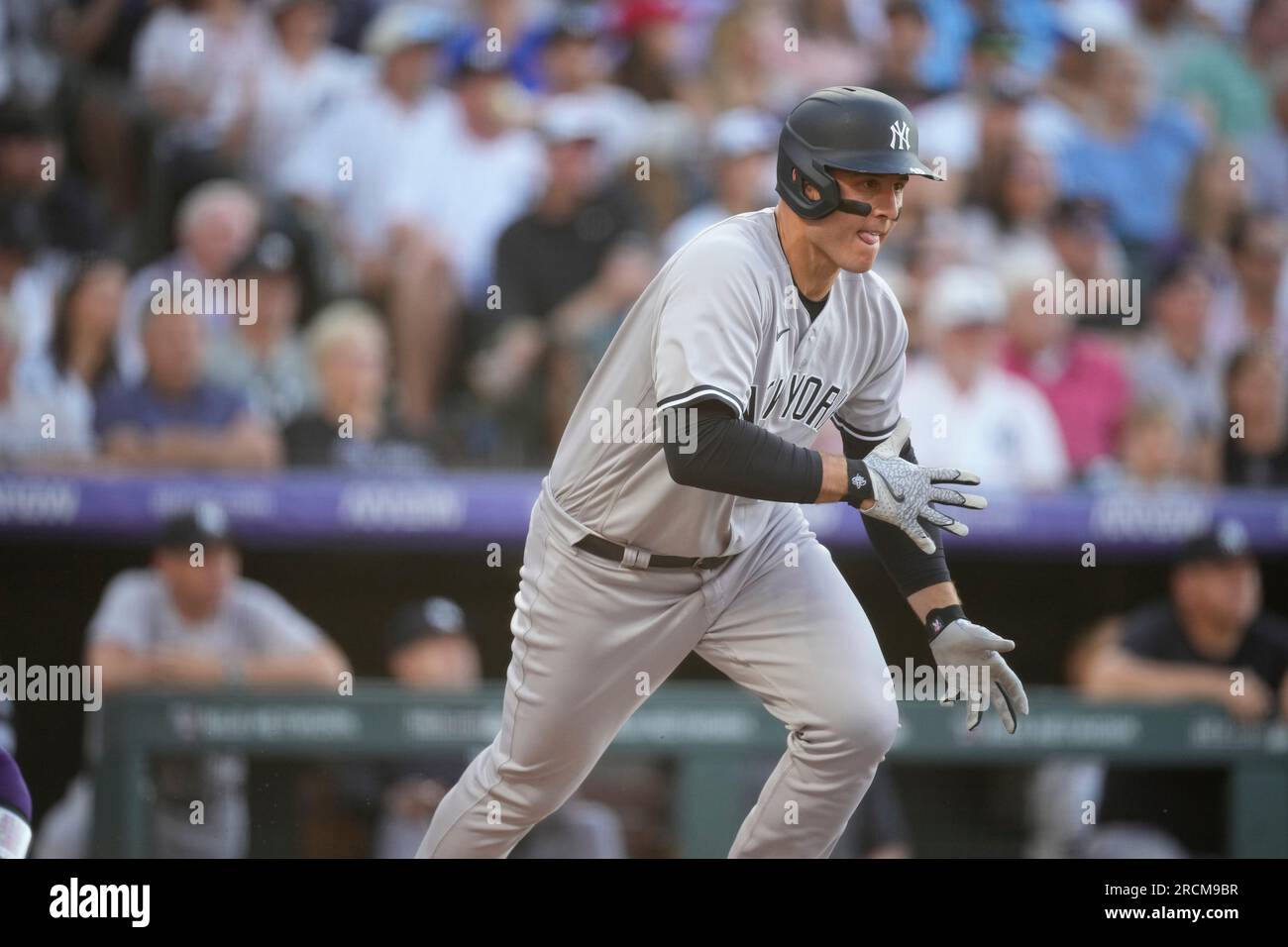 New York Yankees first baseman Anthony Rizzo (48) in the third inning ...