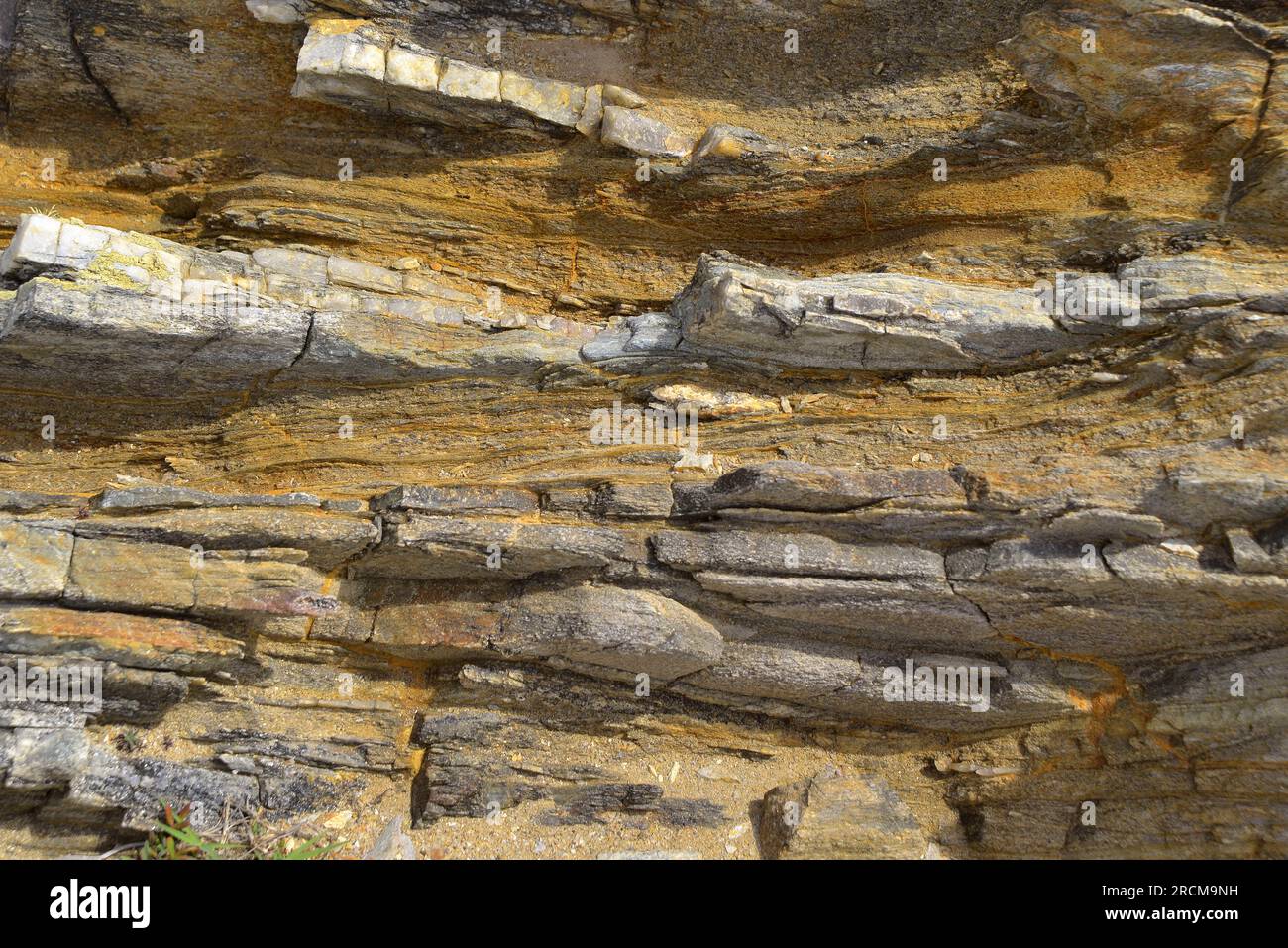 Stratigraphy studies hi-res stock photography and images - Alamy
