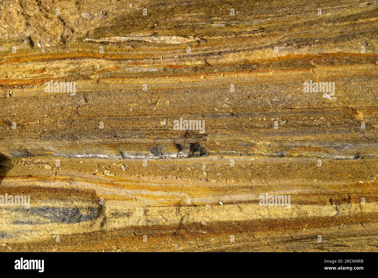 Monteferro hi-res stock photography and images - Alamy