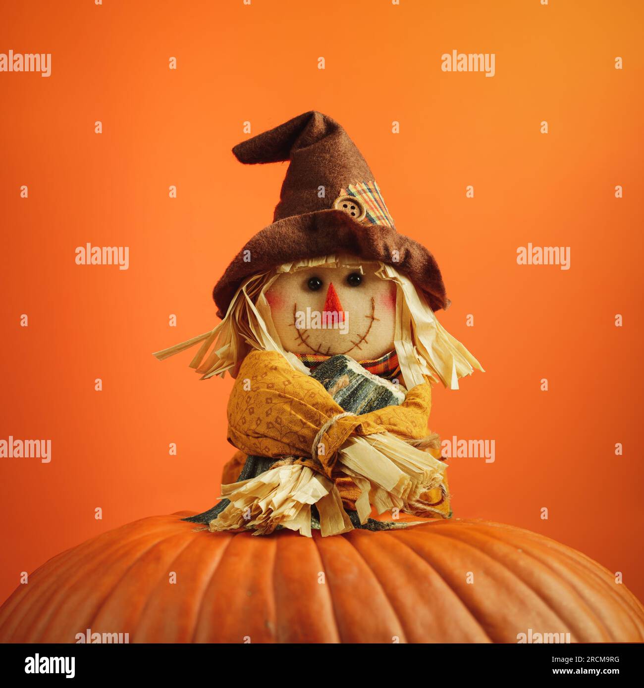 Cute little scarecrow smiling and hugging the stem of a large orange ...