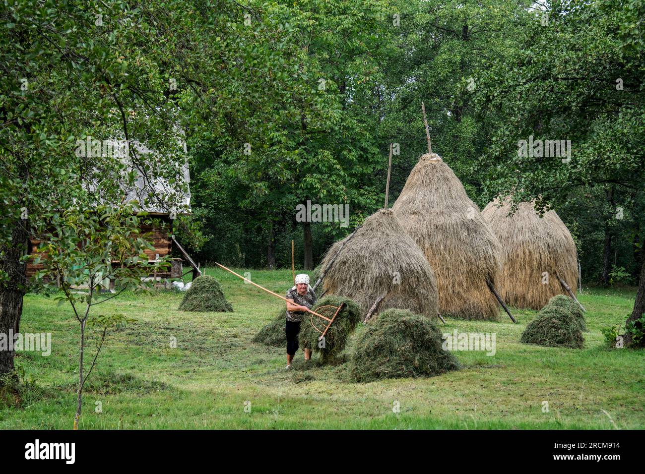 Traditional haystacks hi-res stock photography and images - Alamy