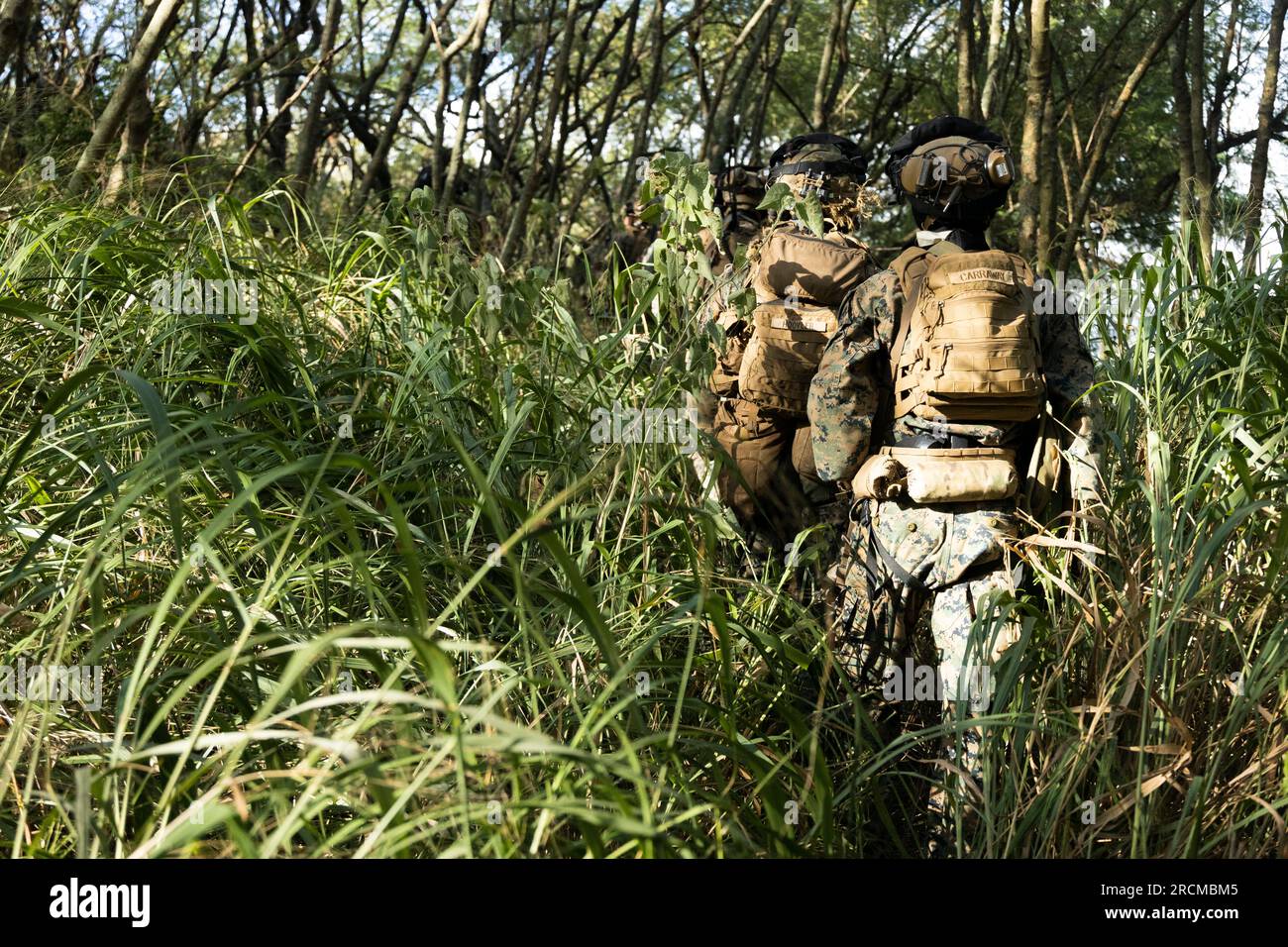U.S. Marines with Advanced Infantry Training Battalion, School of ...