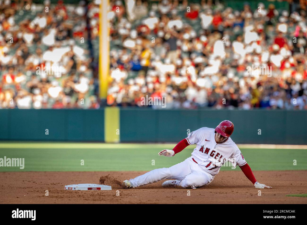 Anaheim, California, USA. 14th July, 2023. Los Angeles Angels baseball ...