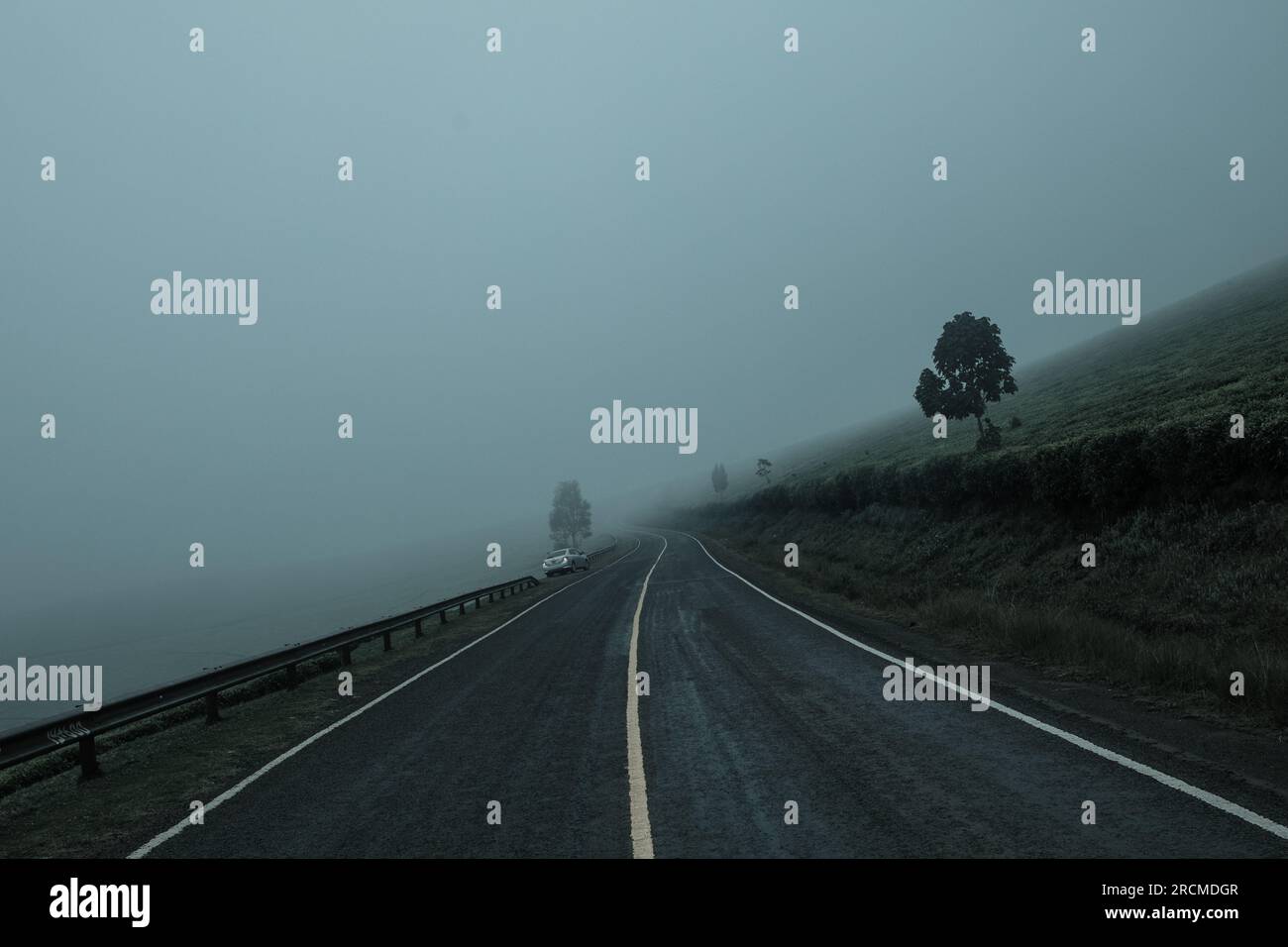 Kiambu-Limuru Road Highway, Tea Plantations Stock Photo - Alamy
