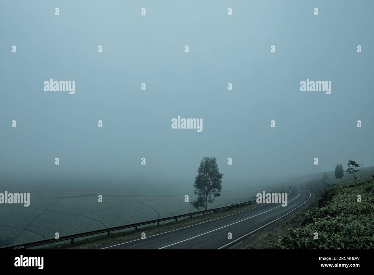 Kiambu-Limuru Road Highway, Tea Plantations Stock Photo - Alamy