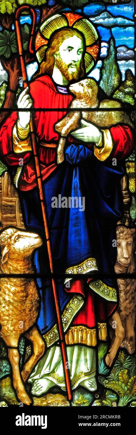 Christ with lamb, stained glass window, by A L Moore, Brinton, Norfolk ...