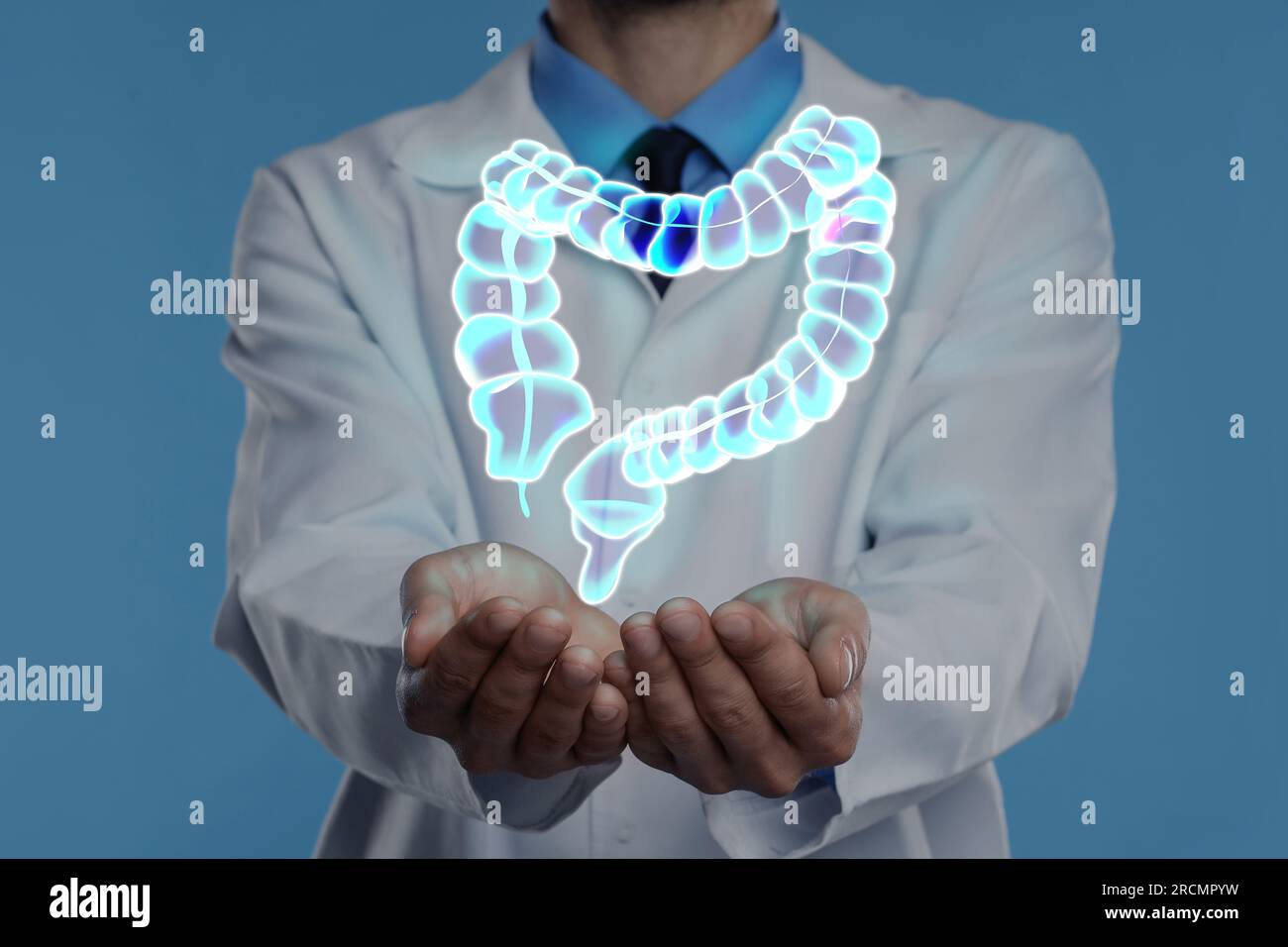Gastroenterologist holding illustration of large intestine on light ...