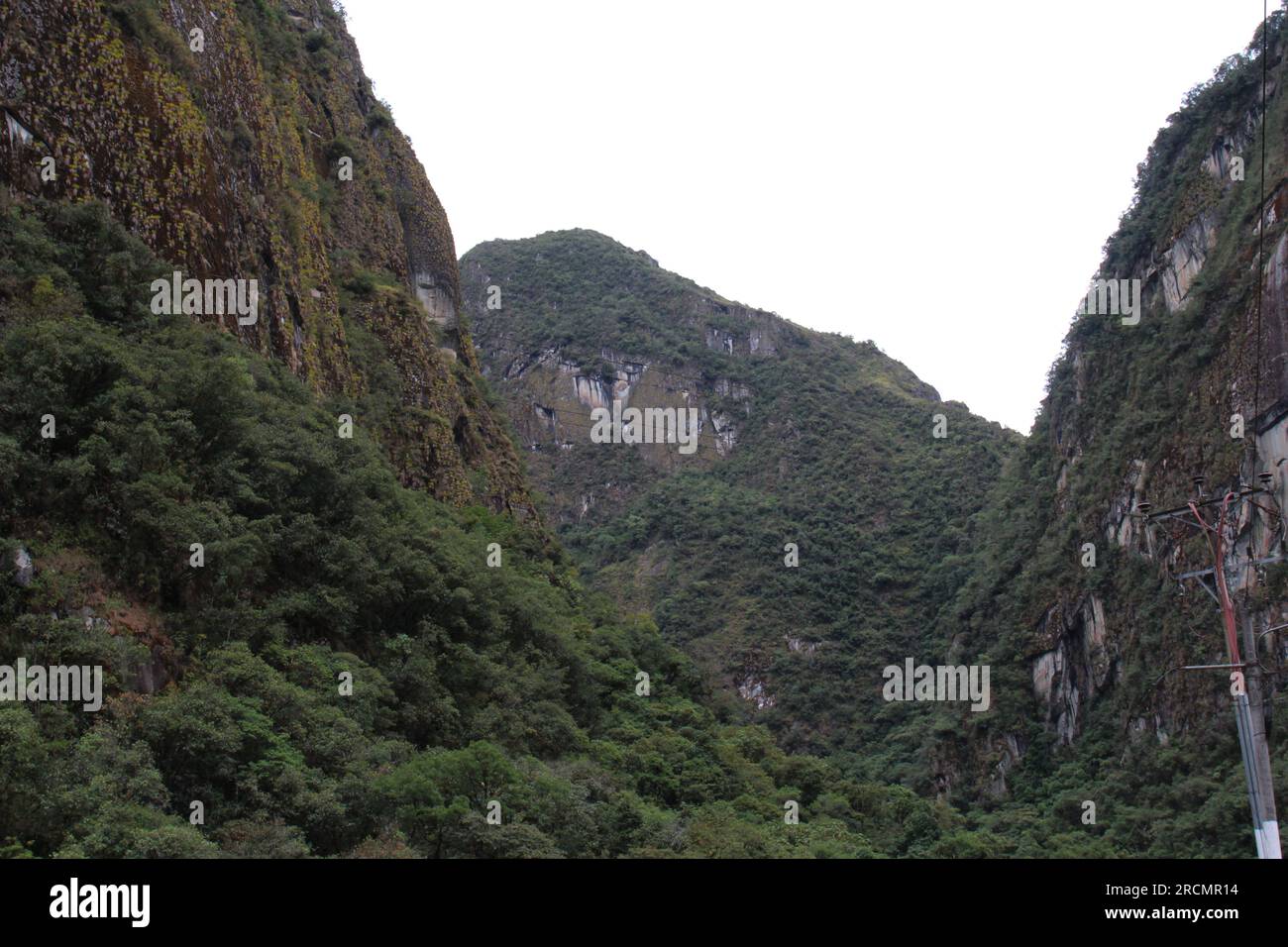 The Andes Mountains covered in shrubs and vegetation in Aguas Calientes ...