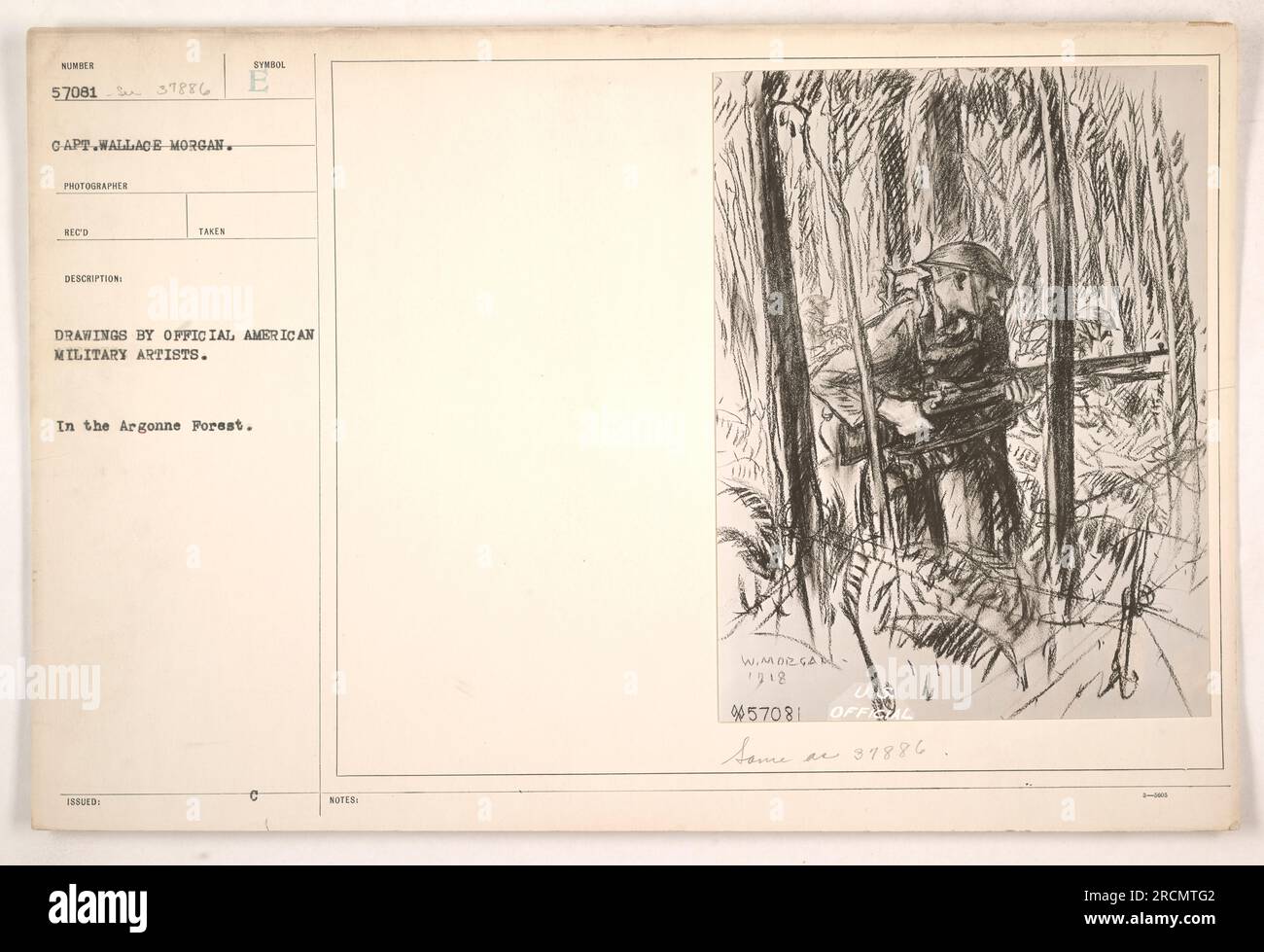 An official American military artist captures a scene in the Argonne ...