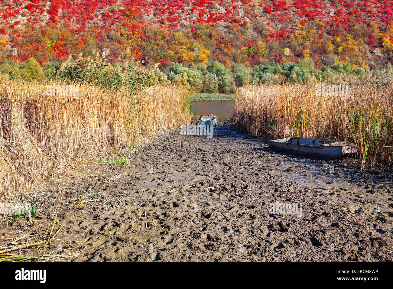 Dirty riverside with fishing boats . Shore of the lake is covered with ...