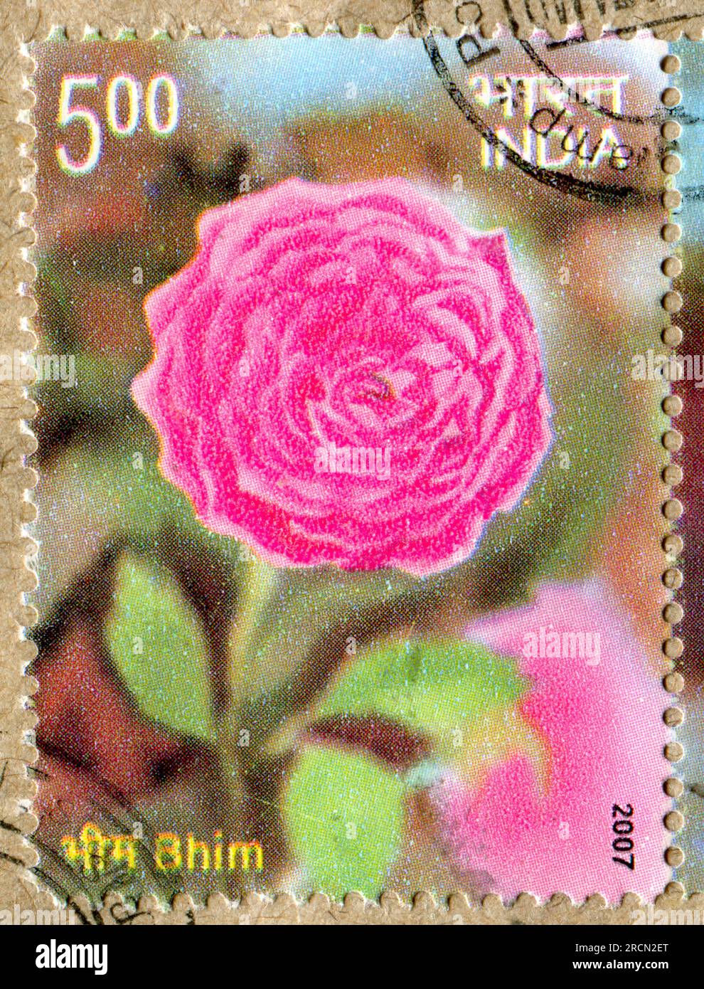 INDIA - CIRCA 2007: stamp printed by India, shows flower rose, circa ...