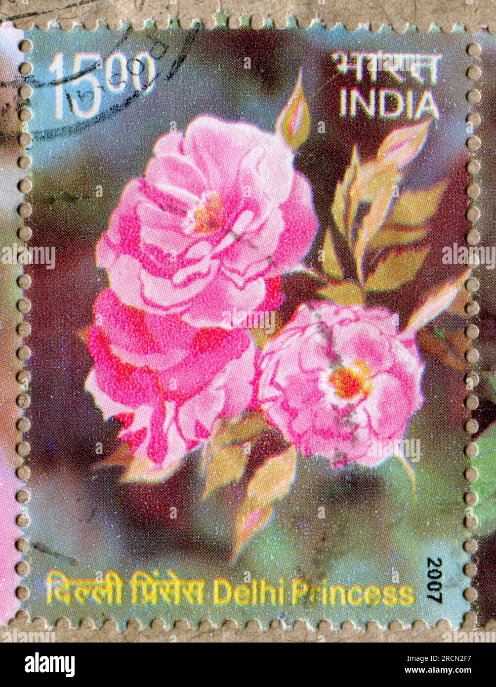 INDIA - CIRCA 2007: stamp printed by India, shows flower rose, circa 2007 Stock Photo - Alamy
