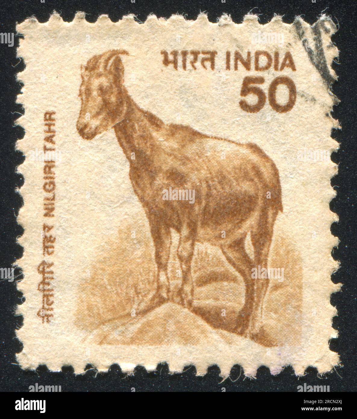 INDIA - CIRCA 2000: stamp printed by India, shows nilgiri tahr, circa ...