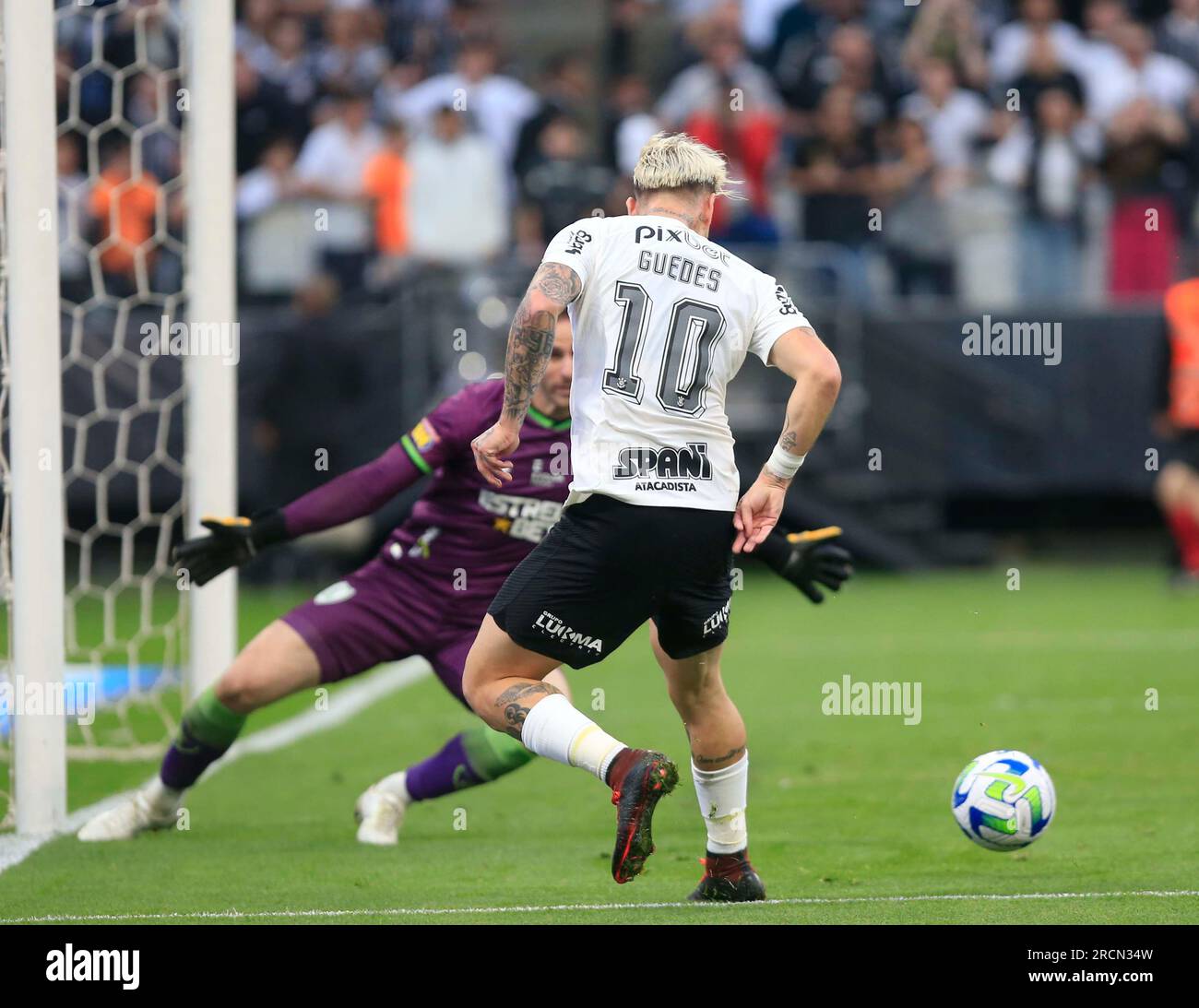 Mg roger a hi-res stock photography and images - Alamy