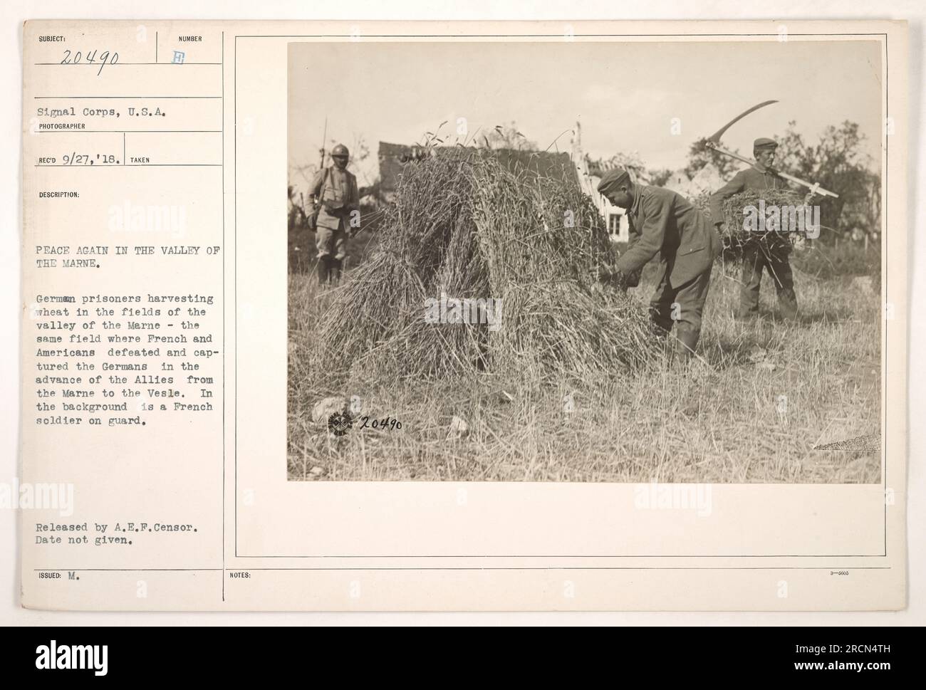 German prisoners harvesting wheat in the fields of the Marne Valley ...