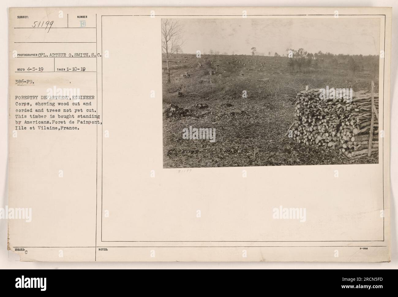 Forestry Department of the Engineer Corps is depicted in the image ...