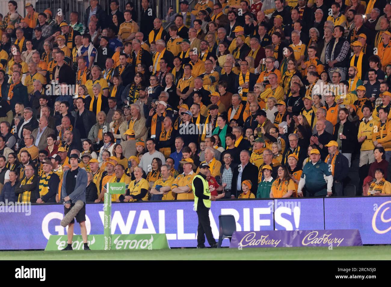 Sydney, Australia. 15th July, 2023. Wallabies fans showing their ...