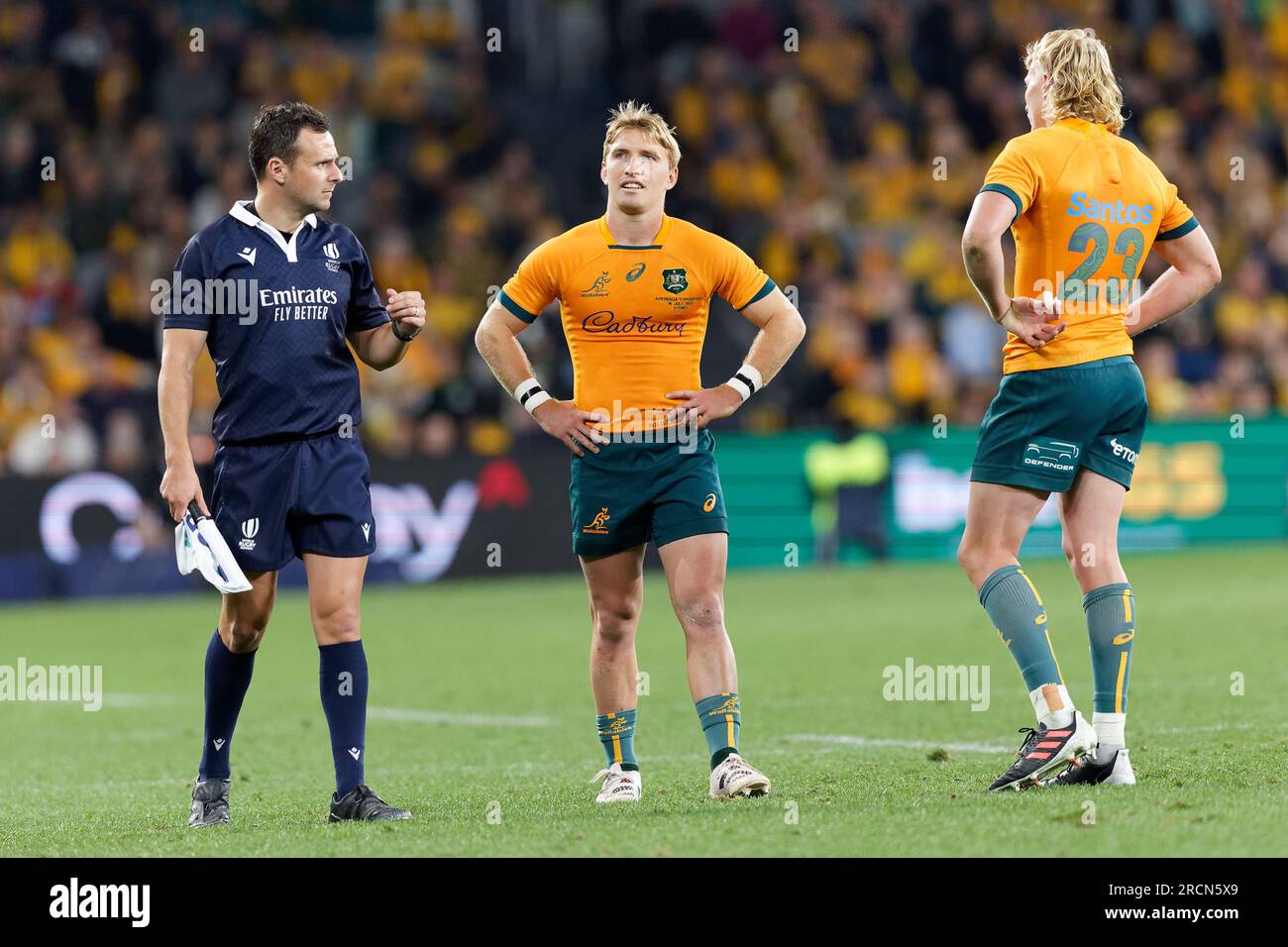 Sydney, Australia. 15th July, 2023. Tate McDermott of Australia looks ...
