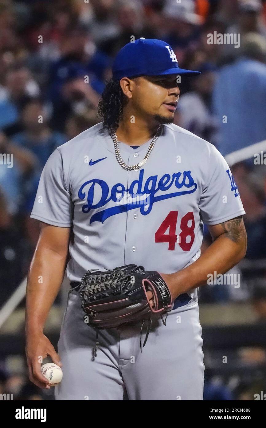 Los Angeles Dodgers relief pitcher Brusdar Graterol looks to the plate ...