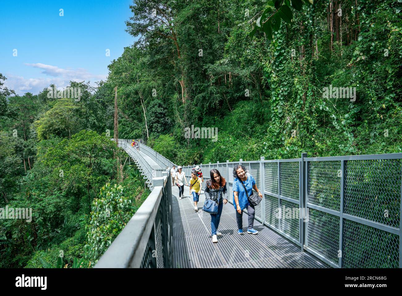 Elevated treetops jungle forest Canopy Walkway in Mae Rim North Chiang ...