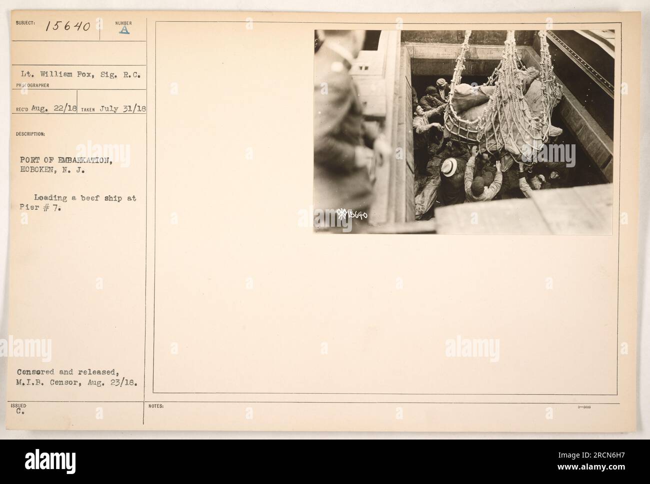 Loading a beef ship hi-res stock photography and images - Alamy