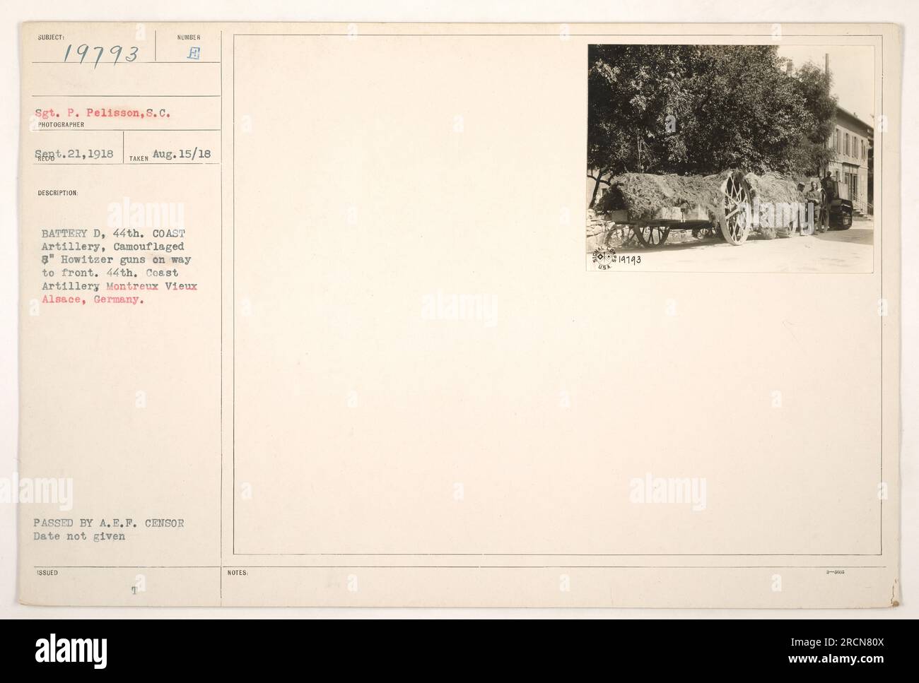 A photograph of Sergeant P. Pelisson of the 44th Coast Artillery, taken ...