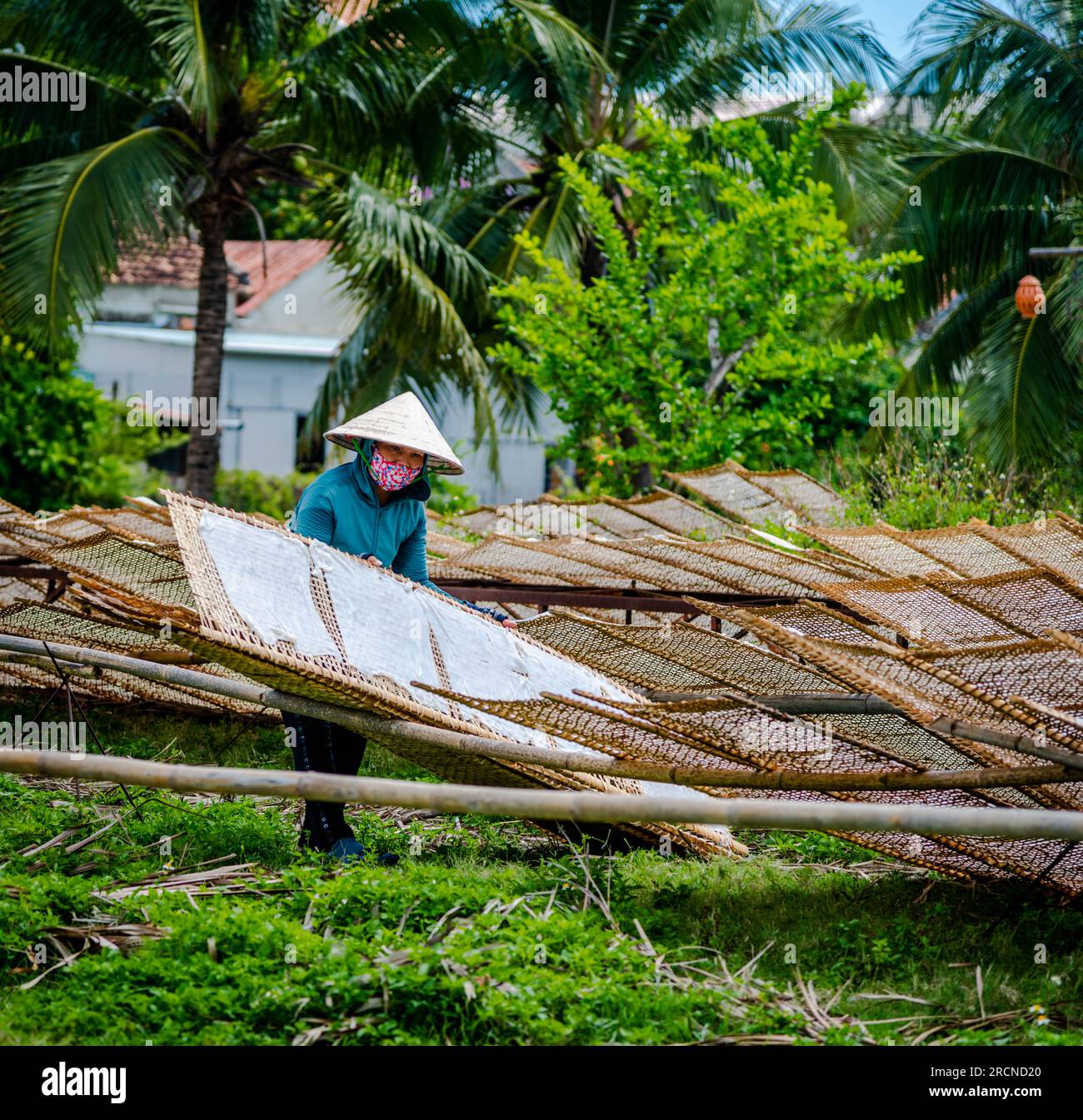 Rice paper production vietnam hi-res stock photography and images - Alamy