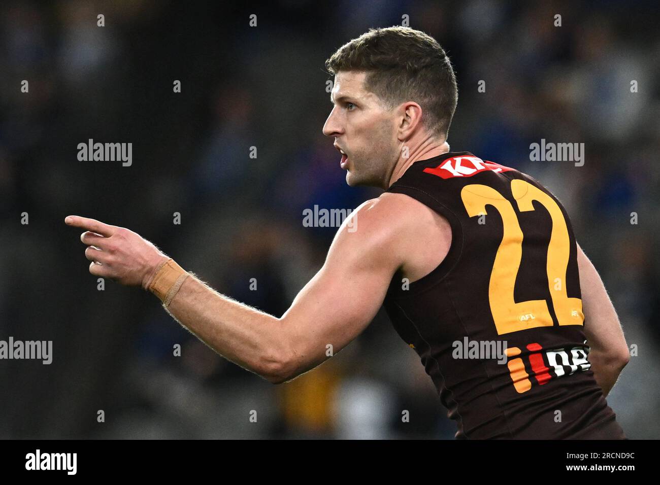 Melbourne, Australia. 16th July, 2023. Luke Breust of Hawthorn ...