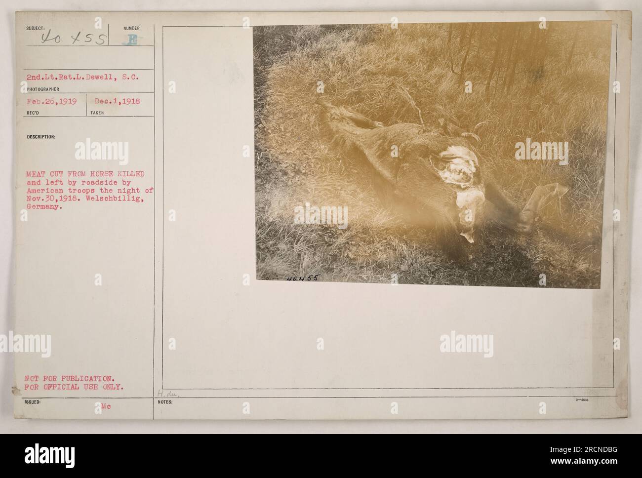 "2nd Lt. Rat.L. Dewell, S.C., photographed the aftermath of American ...