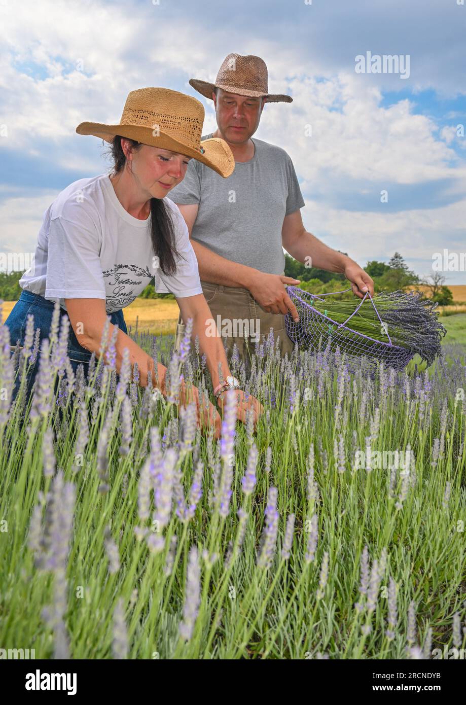 Grimme, Germany. 10th July, 2023. Polish farmer Joanna and her husband ...