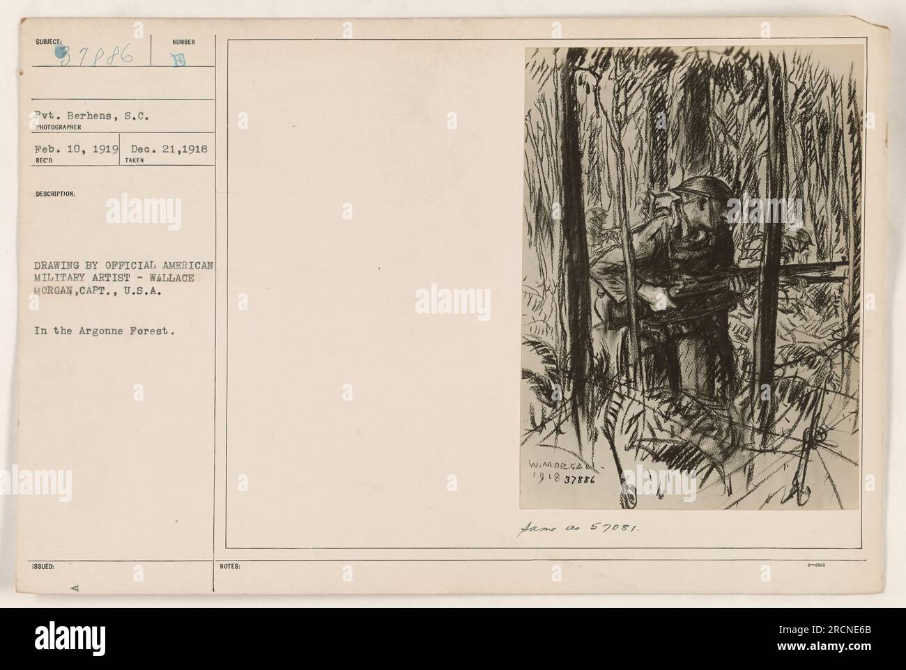 American soldiers during World War I standing in the Argonne Forest ...