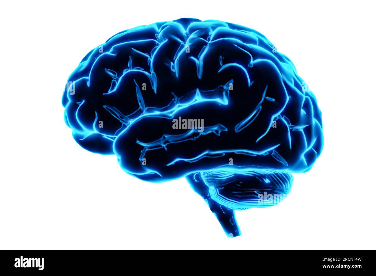 glowing neon human brain model isolated on white background. Deep ...