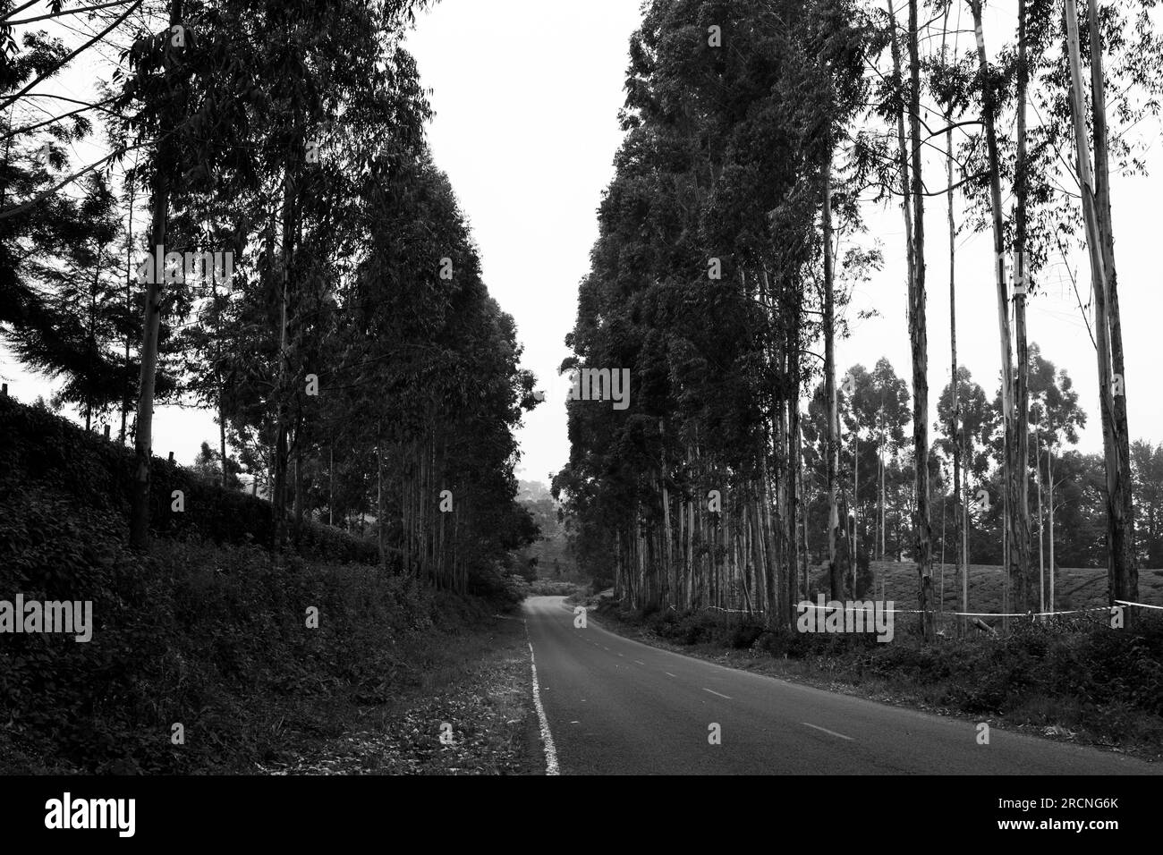 Limuru road hi-res stock photography and images - Alamy