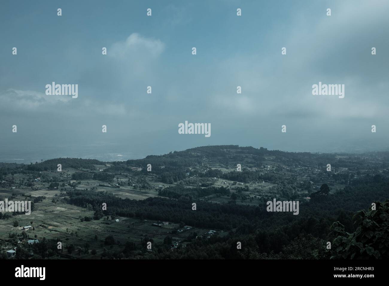 Kiambu-Limuru Road Highway, Tea Plantations Stock Photo - Alamy