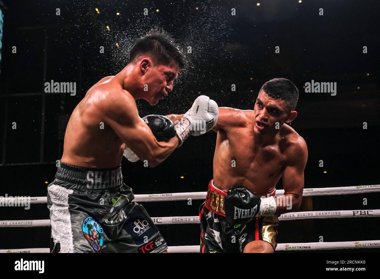 Las Vegas, Nevada, USA. 14th July, 2023. Lightweight Anthony Cuba (6-0 ...