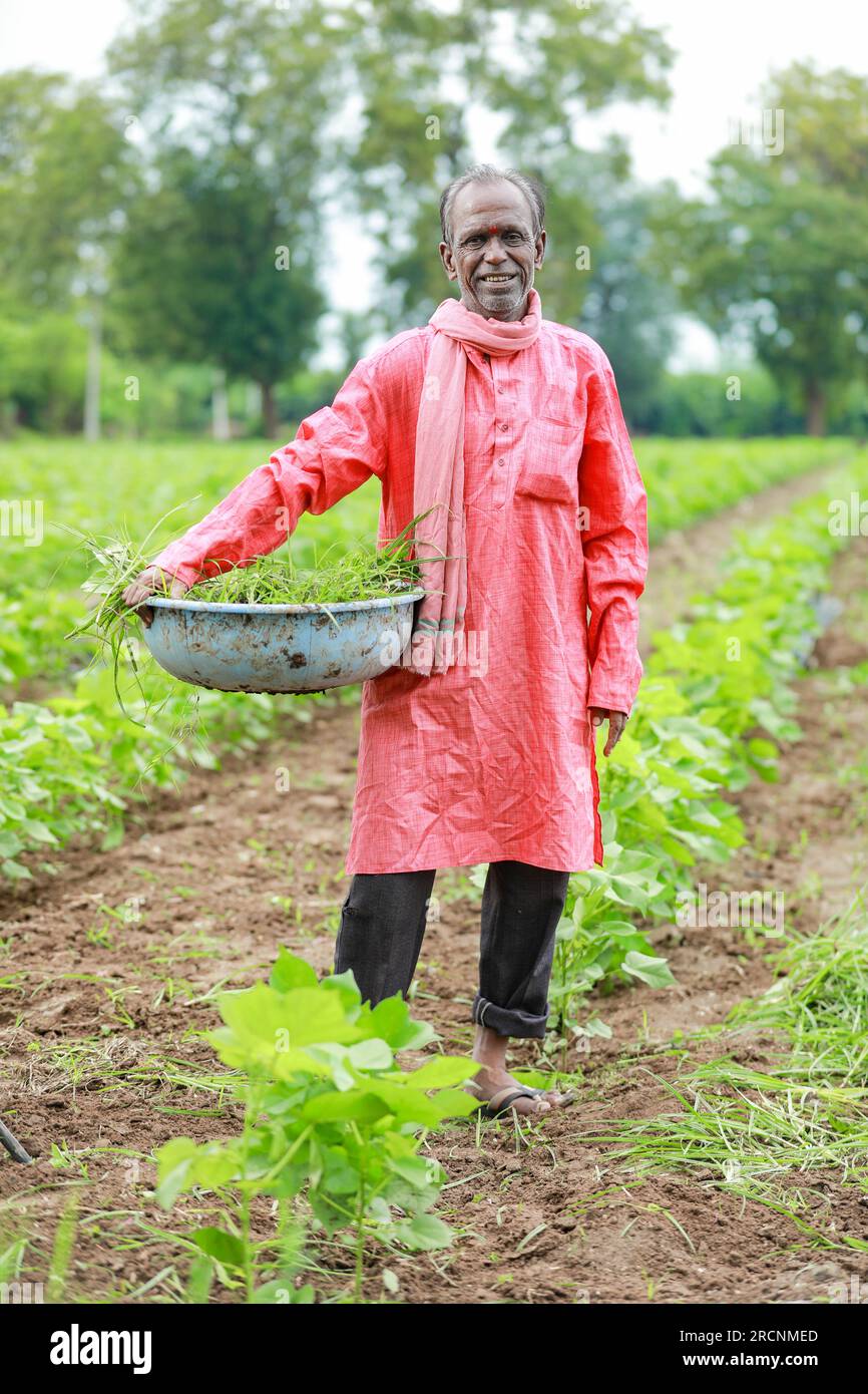 Indian happy farm worker , working in farm Stock Photo - Alamy