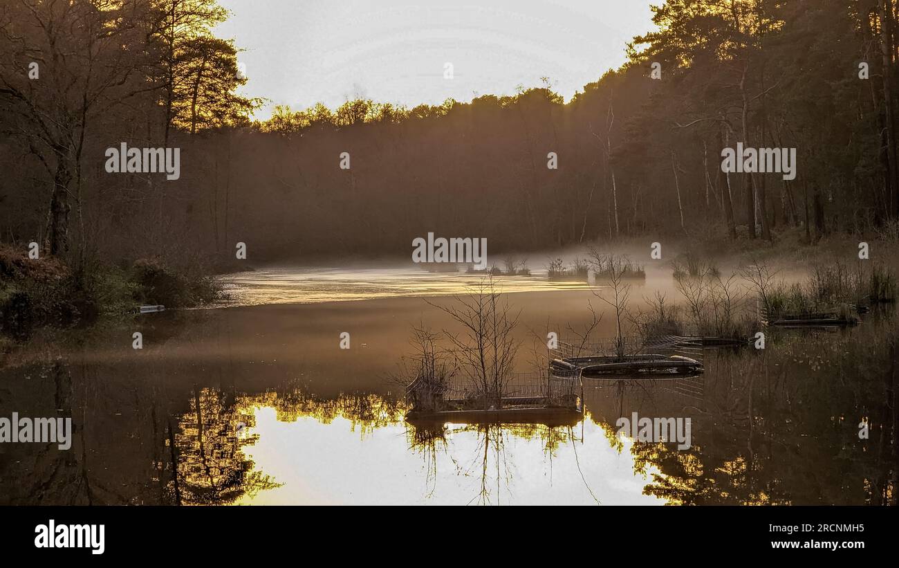 Winter views across Frensham Common at sunset moody axe pond little ...