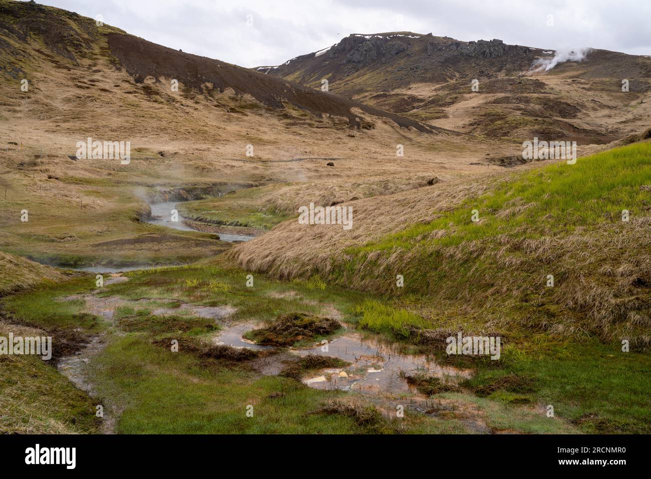 Steaming hot Stream of Water in Reykjadalur Hot springs Iceland Stock ...